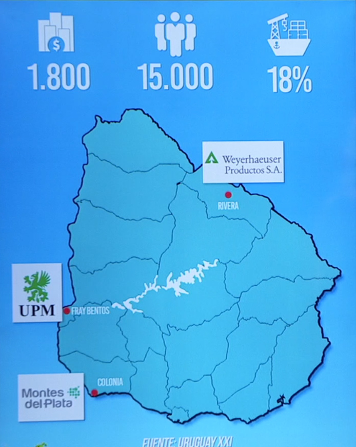El impacto que se puede esperar con la segunda planta de UPM - Teledoce.com