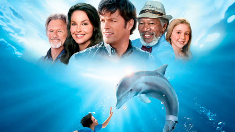 Winter, el delfín - Teledoce.com