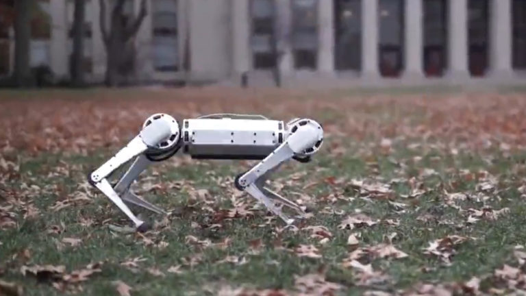 Mini Cheetah, el pequeño robot que revoluciona la industria - Teledoce.com