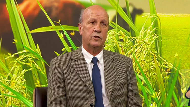 Capurro sobre los 100 millones de dólares que aportará el campo al ...