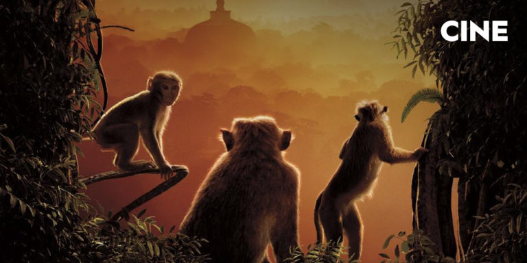 El Reino de los monos - Teledoce.com