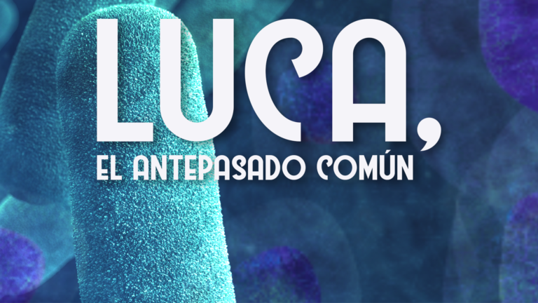 Luca, la bacteria que podría explicar el origen de la vida tal cual la ...