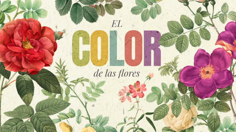 Los colores de las flores evolucionaron para seducir a los ...