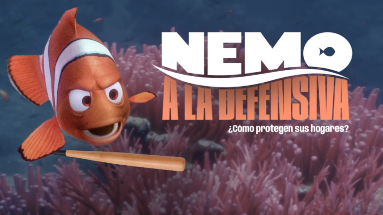 Una investigación descubrió el curioso método que utiliza el pez ...